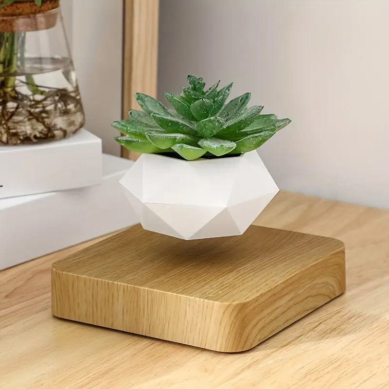 Magnetic Floating Flower Pot | Idealancy
